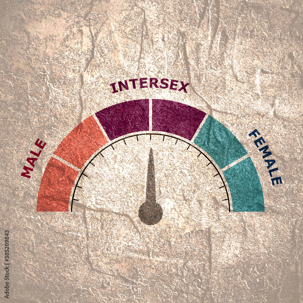 Transgender transsexual concept. Unconventional sexual orientation ...