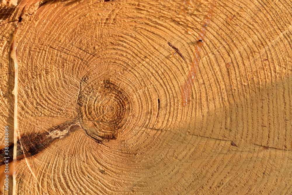 Wooden structure. Cross sectional cut end of log showing the pattern ...
