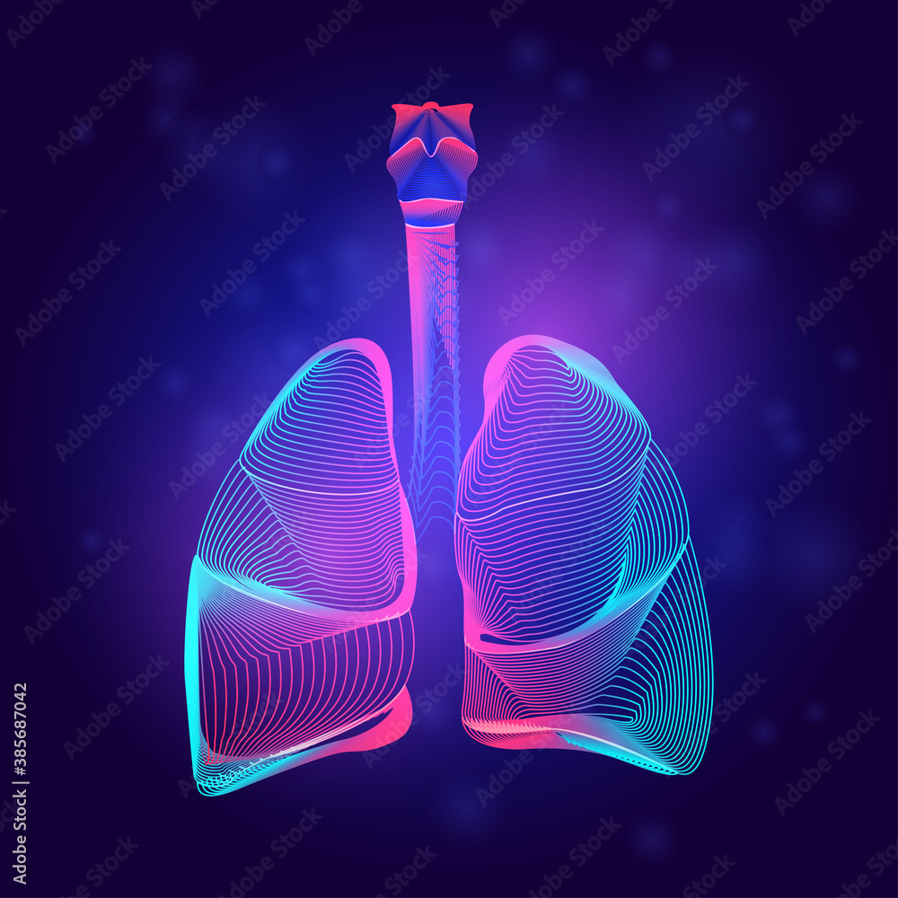Human lungs medical structure. Outline vector illustration of body part ...