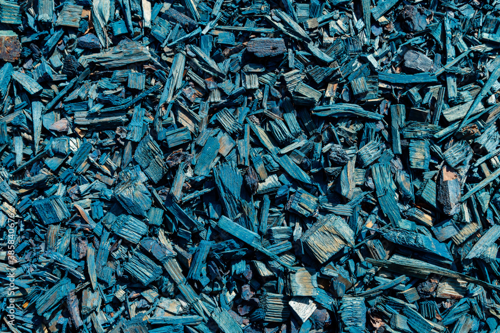 Wood mulch background. Wooden bark chip texture. Blue colored material ...