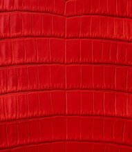 Red Crocodile Skin Background Free Stock Photo - Public Domain Pictures