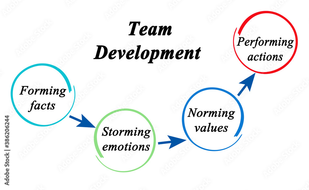 Four Stages of Team Development . Stock Illustration | Adobe Stock