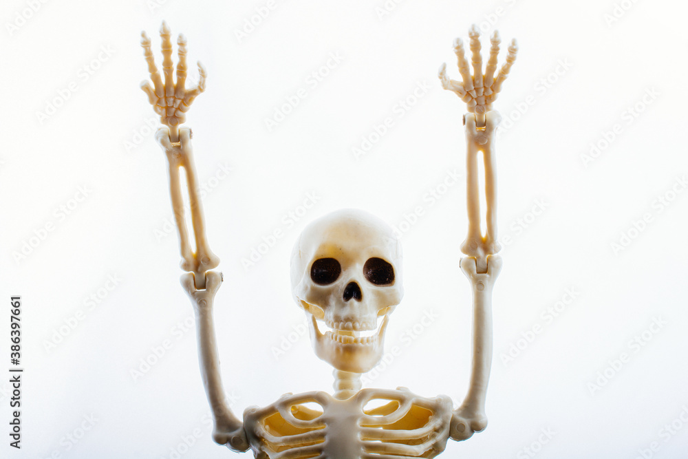 Human skeleton model posing for medical anatomy science Stock Photo ...