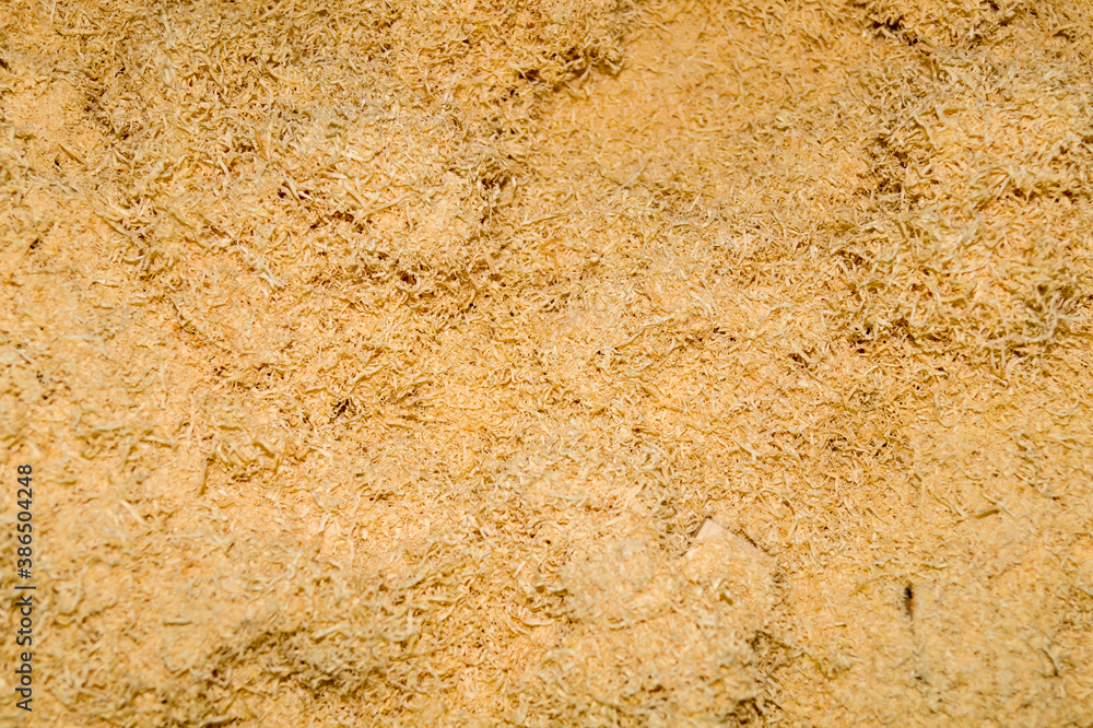 Dry wood shavings background. Wood dust texture. Sawdust pattern ...