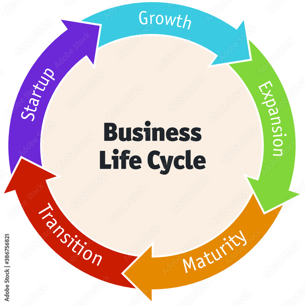 Diagram of the business life cycle Stock Vector | Adobe Stock