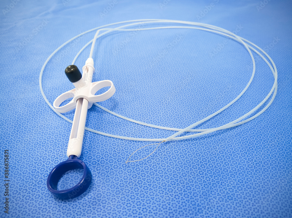 Single Use Polypectomy Snare Stock Photo | Adobe Stock