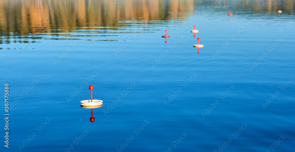 Fishing circle on the water to catch predatory fish. A fascinating ...