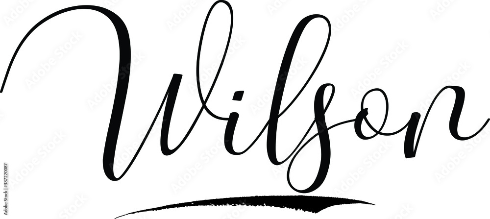 Wilson -Male Name Cursive Calligraphy on White Background Stock Vector ...