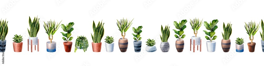 Watercolor seamless pattern of home plants in pots. Hand painted house ...