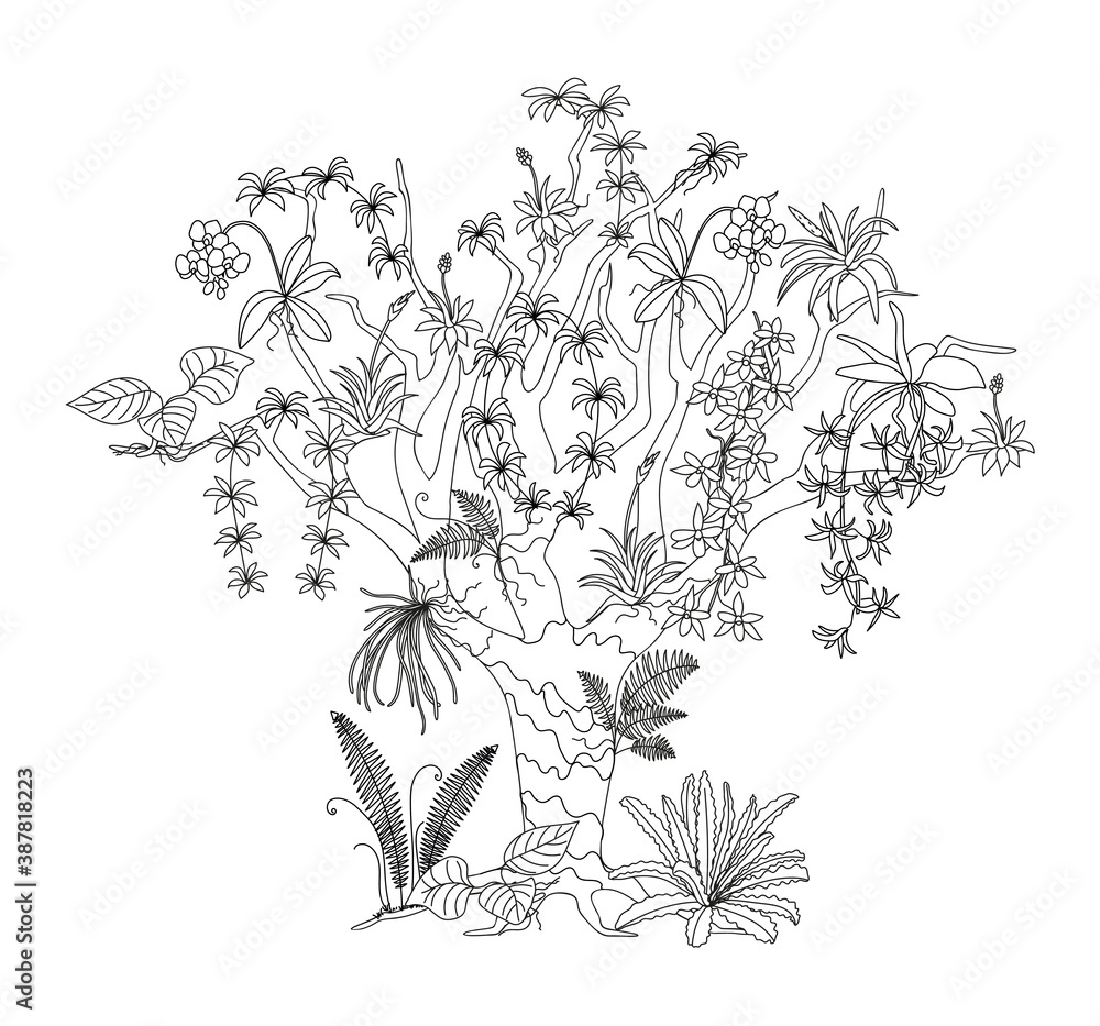 black outline epiphytes tree for coloring book Stock Vector | Adobe Stock