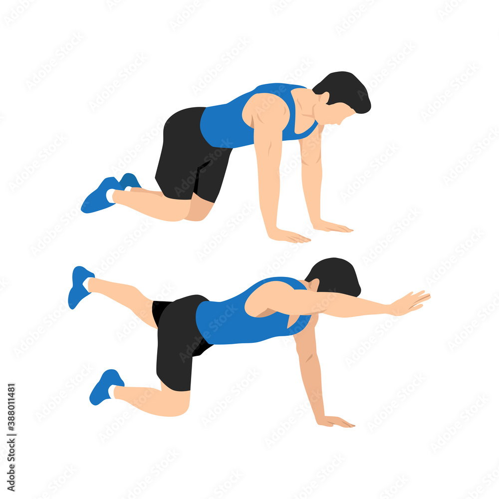 man doing bird dog exercise to train core muscle in 2 step ...