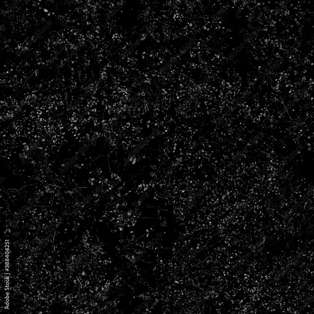 8K mud roughness texture, height map or specular for Imperfection map ...