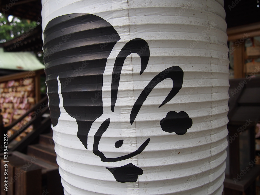 A picture of a rabbit on a kyo-chouchin, "Kyo-Chouchin" is a Japanese ...