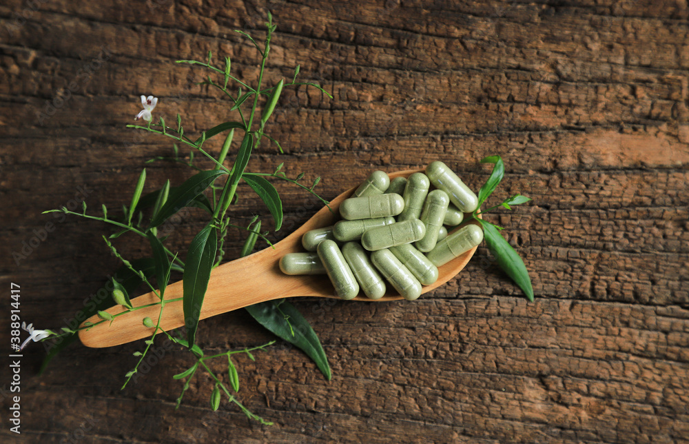 Medicine herbal powder capsules from Andrographis paniculata leaf and ...