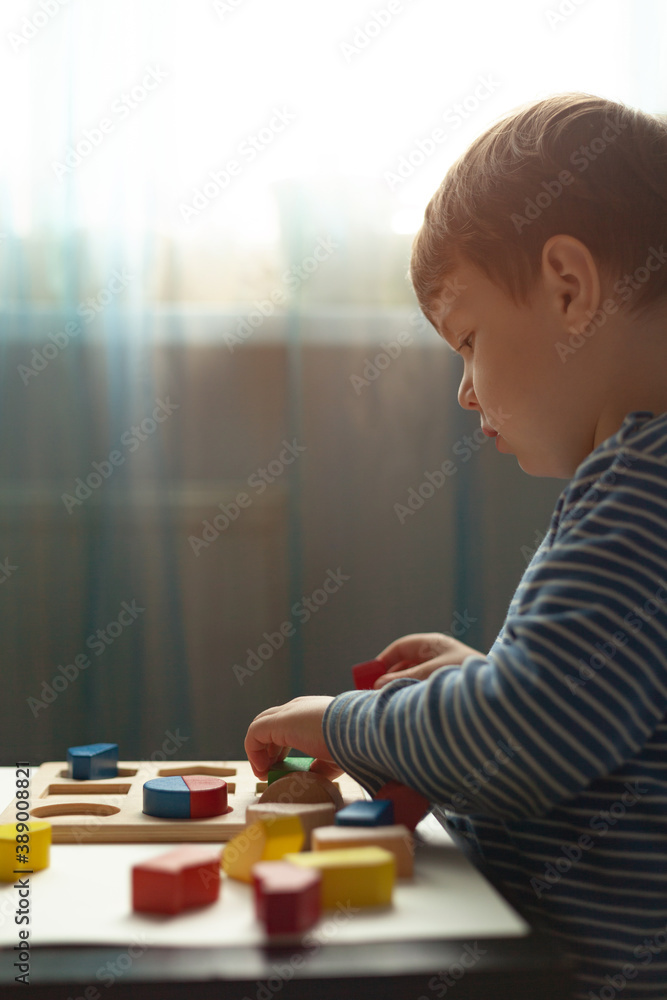 Educational toys, Cognitive skills, Montessori activity. Montessori kid ...