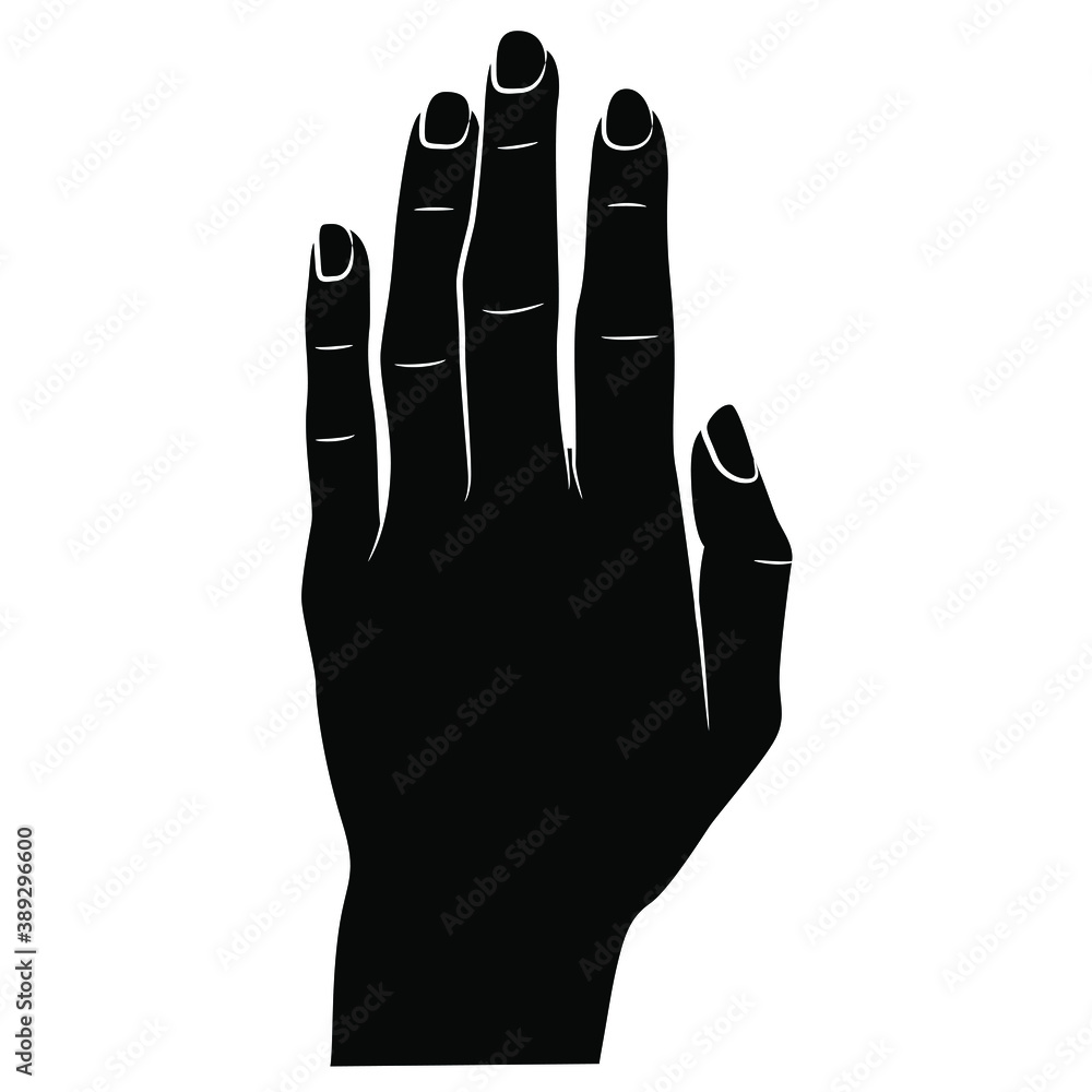 Human female hand. Top view. Manicure template. Black and white ...