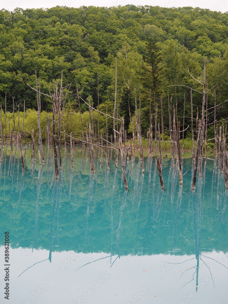 Photo Stock A blue, turquoise water of pond caused by colloidal ...