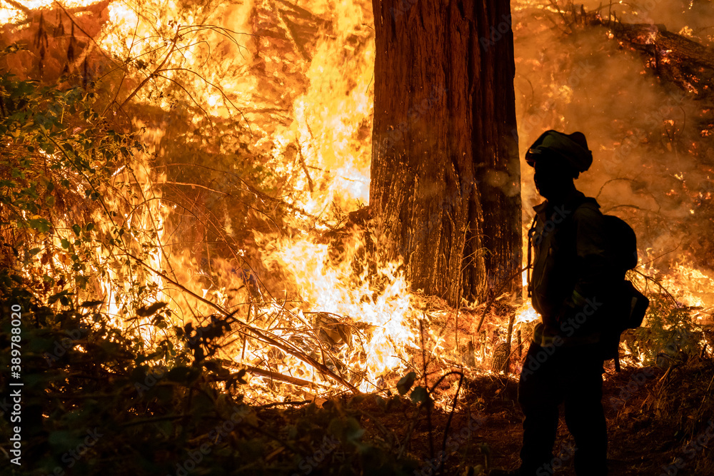 CZU Lightning Fire California - wildfire ravaging forests Stock Photo ...