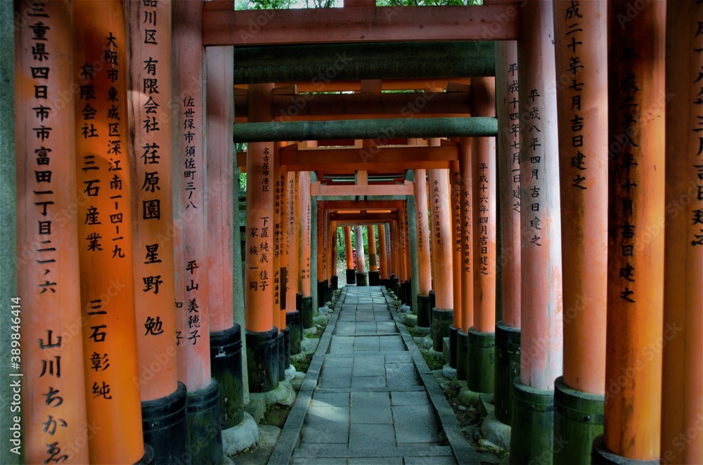 Japan pictures, typical japanese traditional lifestyle, trees ans ...