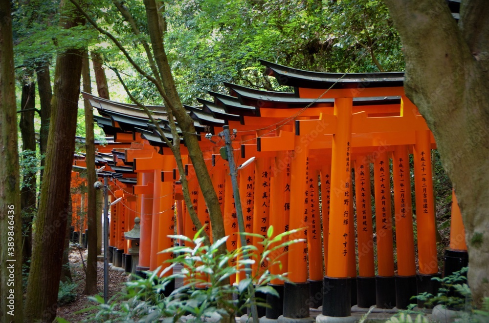 Japan pictures, typical japanese traditional lifestyle, trees ans ...