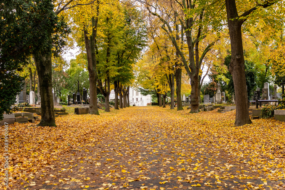 Image of the Vienna Central Cemetery on the All Souls' Day. The Vienna ...