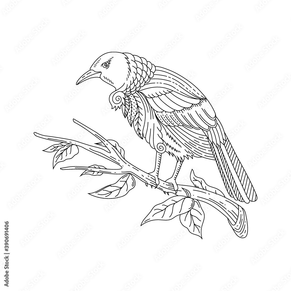 Outline Hand Drawn Tui Bird Adult Coloring Stock Vector | Adobe Stock