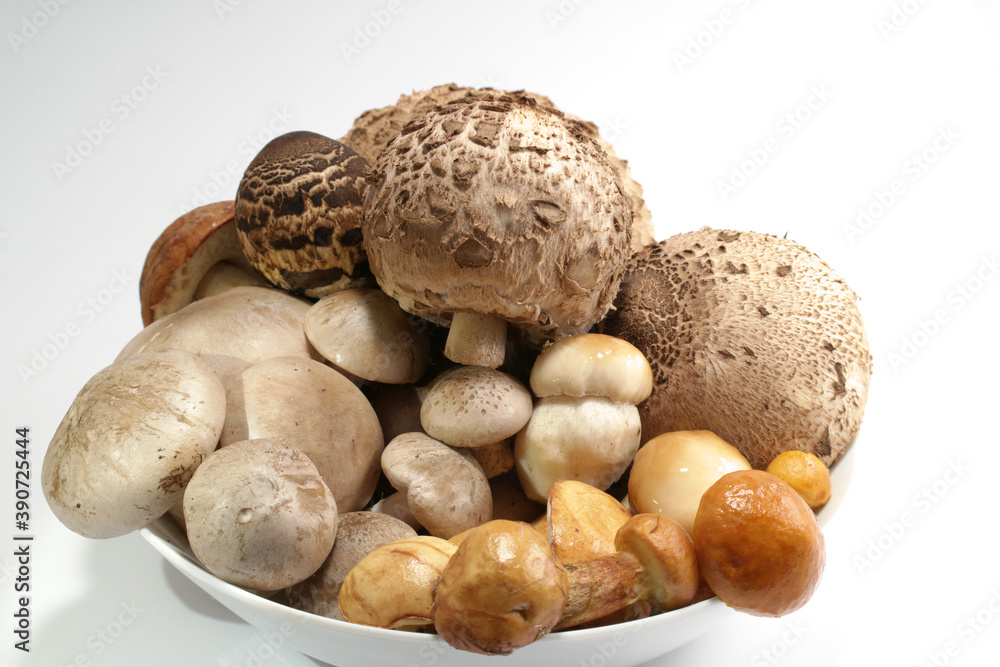 Mushrooms mix on the white background. There are these species ...