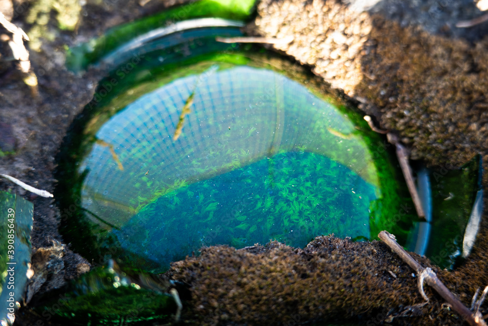 Close up of details of crushed emerald green glass bottles on black ...