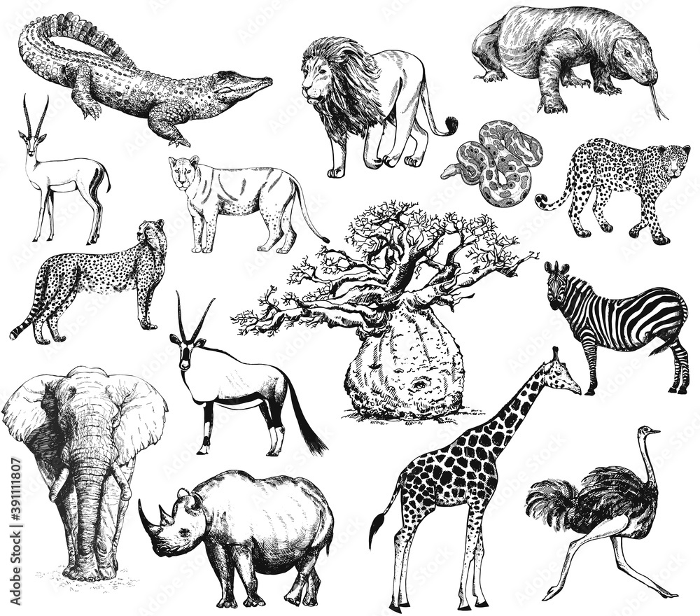 Big set of hand drawn sketch style animals isolated on white background ...