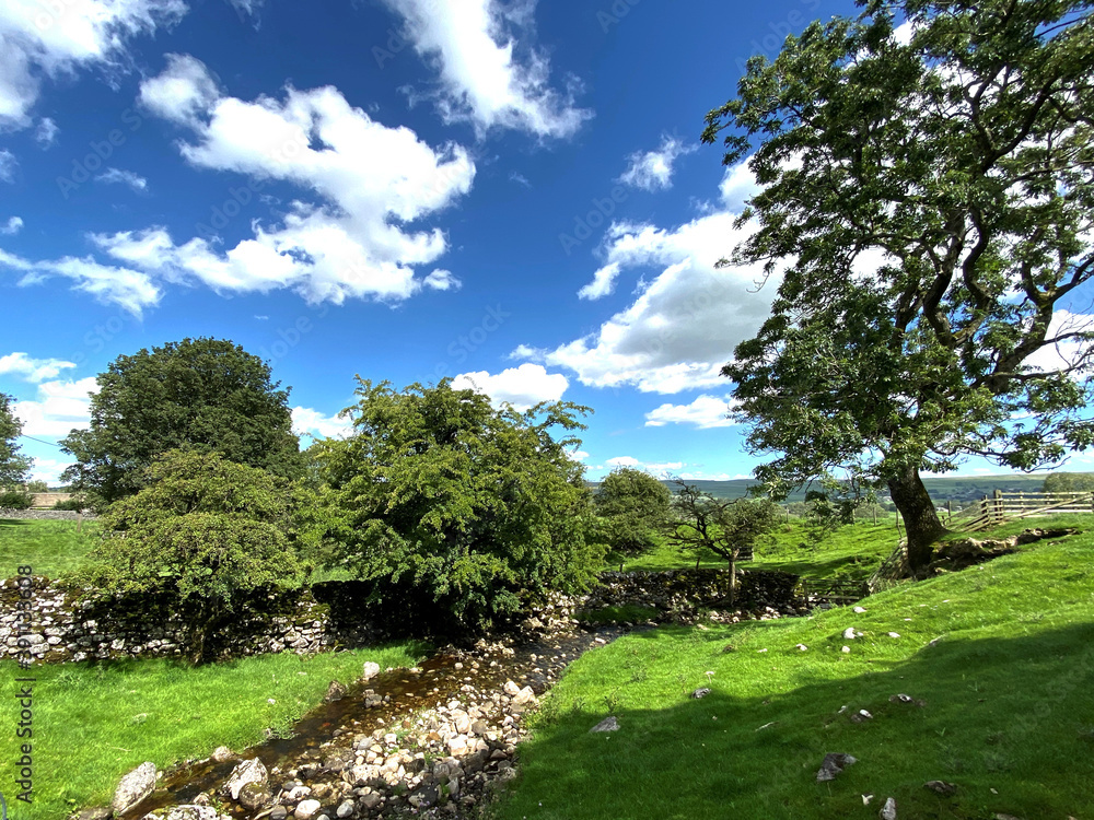 Rural scene, with a stream, old trees, and sloping fields, on a summers ...