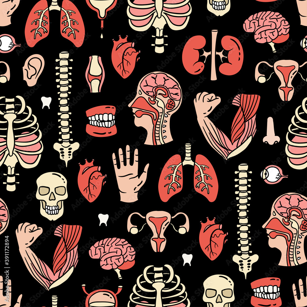 Vector colorful seamless pattern on the theme of human anatomy. Cartoon ...