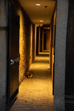 Alley Dimly Lit Free Stock Photo - Public Domain Pictures