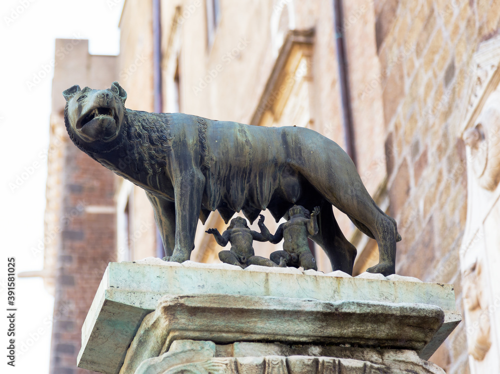 Bronze sculpture of a she-wolf breastfeeding two babies, Romulus and ...