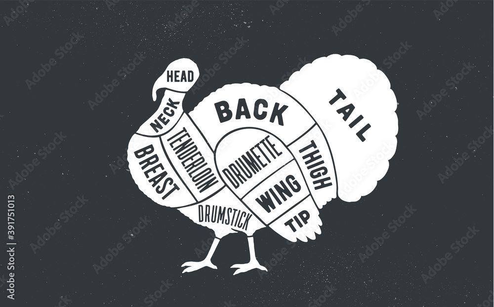 Turkey. Butcher guide scheme. Turkey Chart. Turkey silhouette, chalk ...