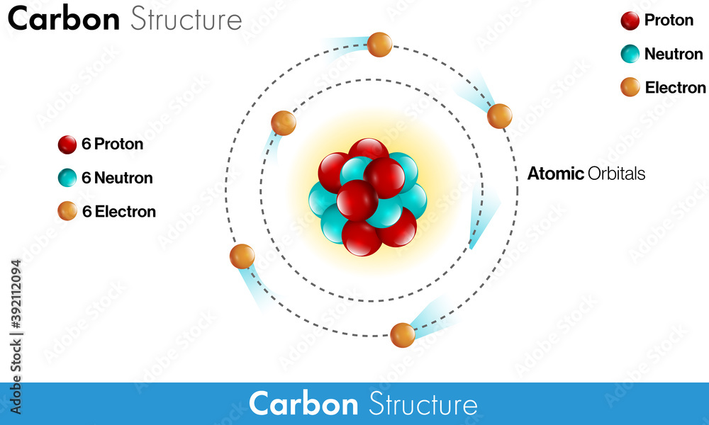 Atomic structure of carbon atom in white background showing orbitals and electrons vector ...