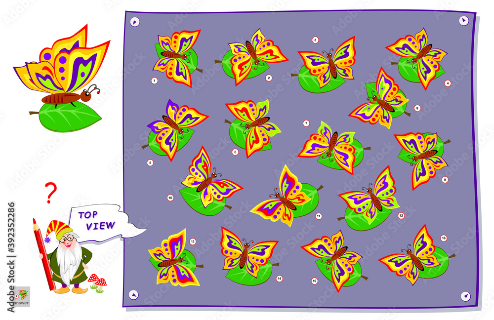 Logic puzzle game for kids. Need to find correct top view of butterfly ...