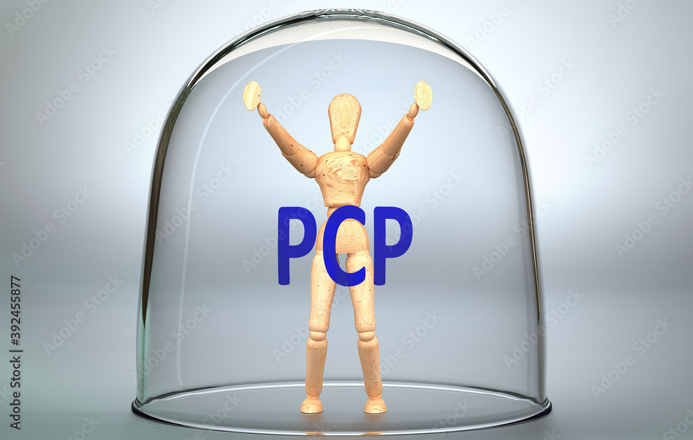 Pcp can separate a person from the world and lock in an invisible ...