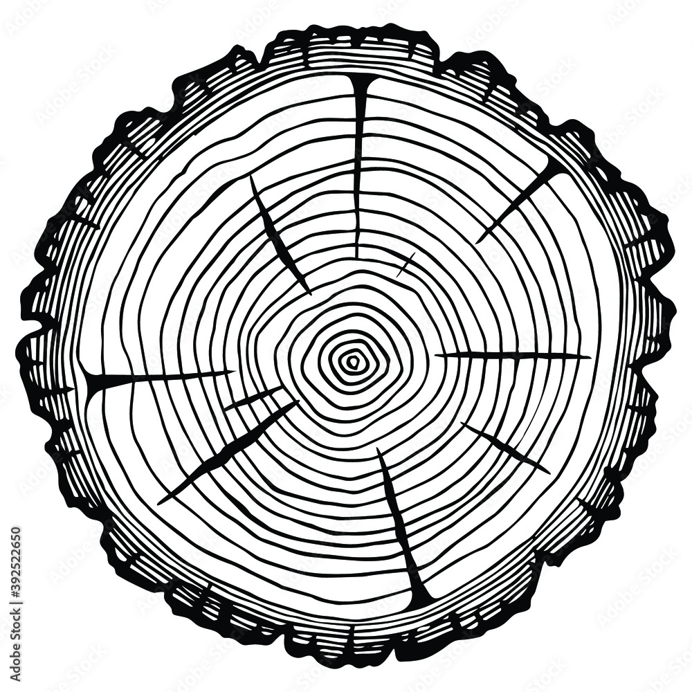 Log cutting, firewood harvesting, sawmill. Vector image isolated on a ...