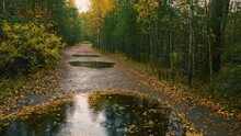 Rain Puddle Autumn Leaves Free Stock Photo - Public Domain Pictures