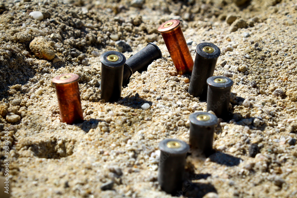 Foto de Stock Wallpapers for your desktop. Background image. Shell ...