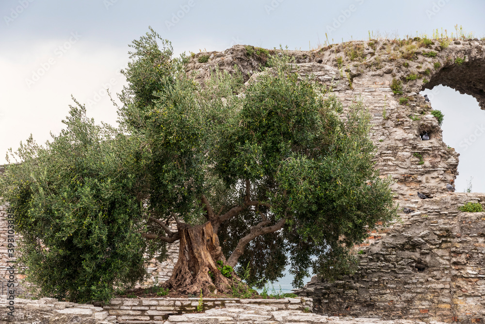 Sirmione Italy, 09/24/2020 Catullo Caves - Roman Villa Catulliana is an ...