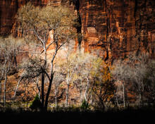 Autumn Trees On A Cliff Free Stock Photo - Public Domain Pictures