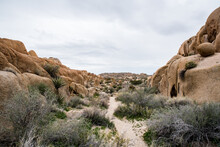 Desert Shrubland Free Stock Photo - Public Domain Pictures
