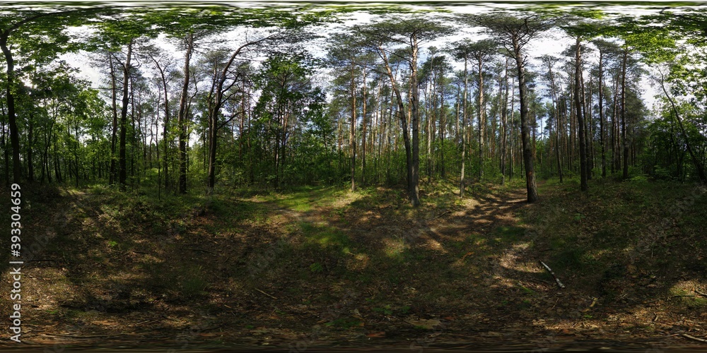 Deep Summer Forest Spherical HDRI Panorama Stock Photo | Adobe Stock