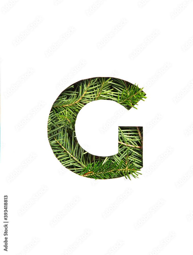 Letter G of English alphabet of natural evergreen spruce tree needles ...