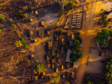 Trees Path Avenue Abstract Free Stock Photo - Public Domain Pictures