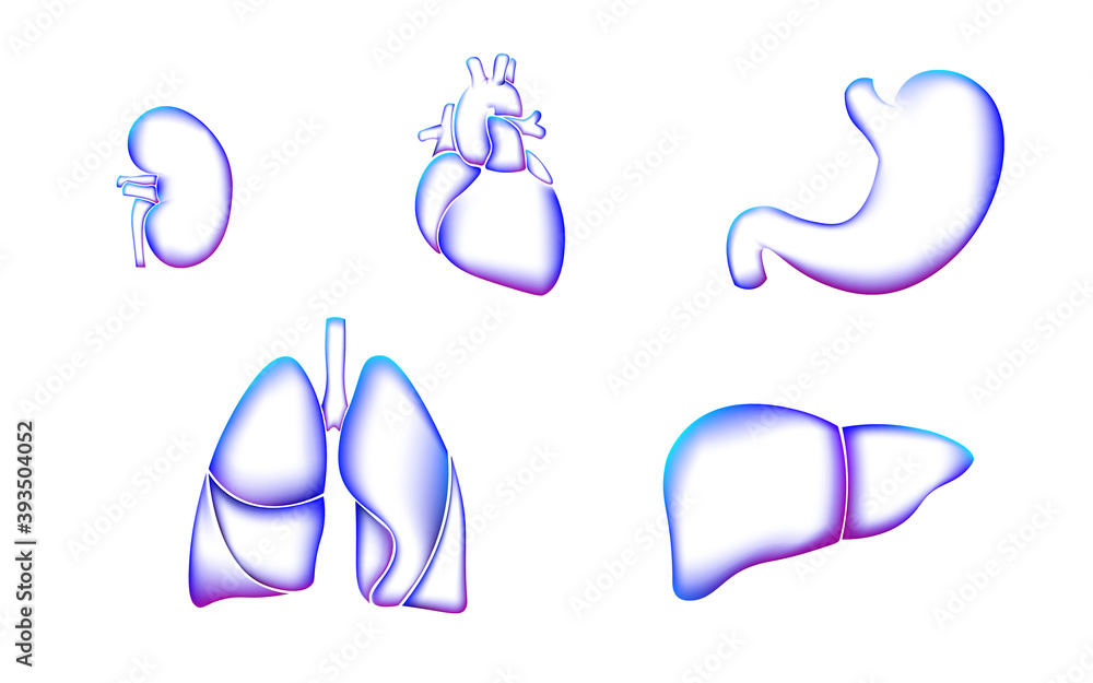 Human organ icon symbol medicine logo set.Lungs heart kidney liver ...