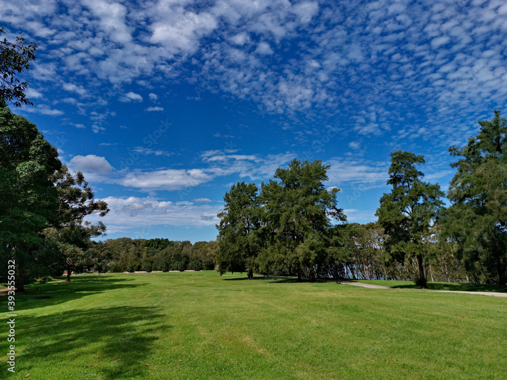 Beautiful view of a park with green grass, tall trees and paved trail ...
