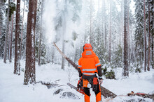 Forestry Workers Free Stock Photo - Public Domain Pictures