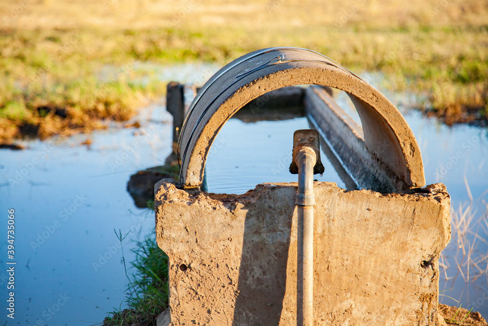 Overflowing concrete water trough on farm Stock Photo | Adobe Stock